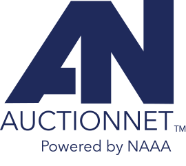 AuctionNetUSA - AuctionNetUSA
